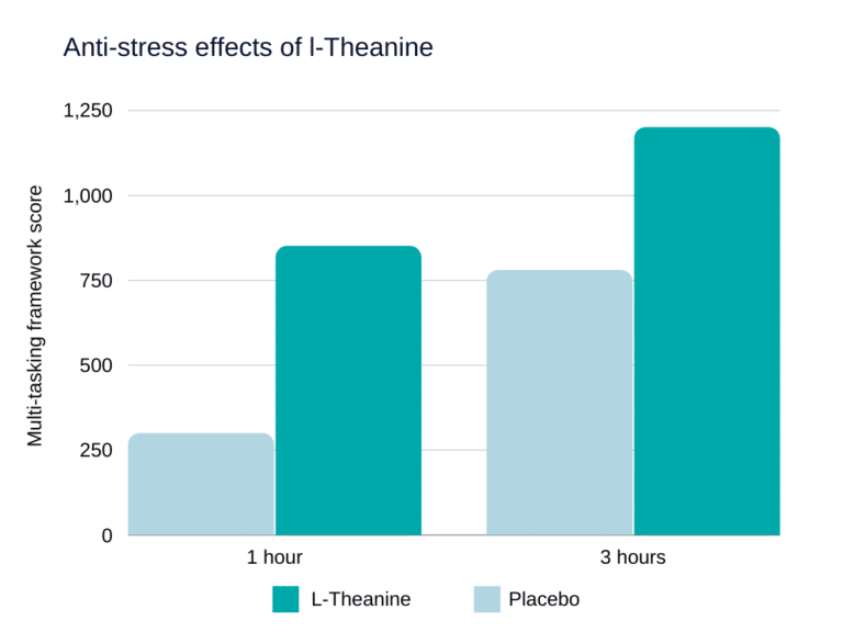 Best Nootropics for Cognitive Performance and Memory