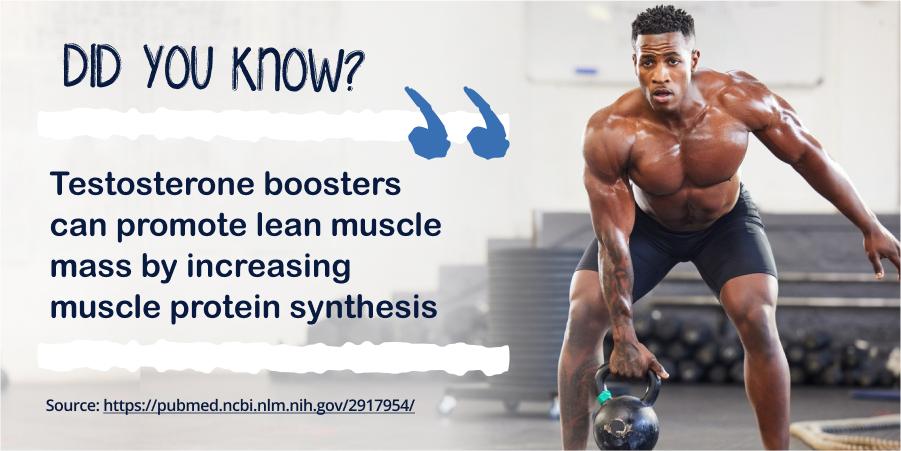 Best Testosterone Boosters in 2023 - Farr Institute | Farr Institute